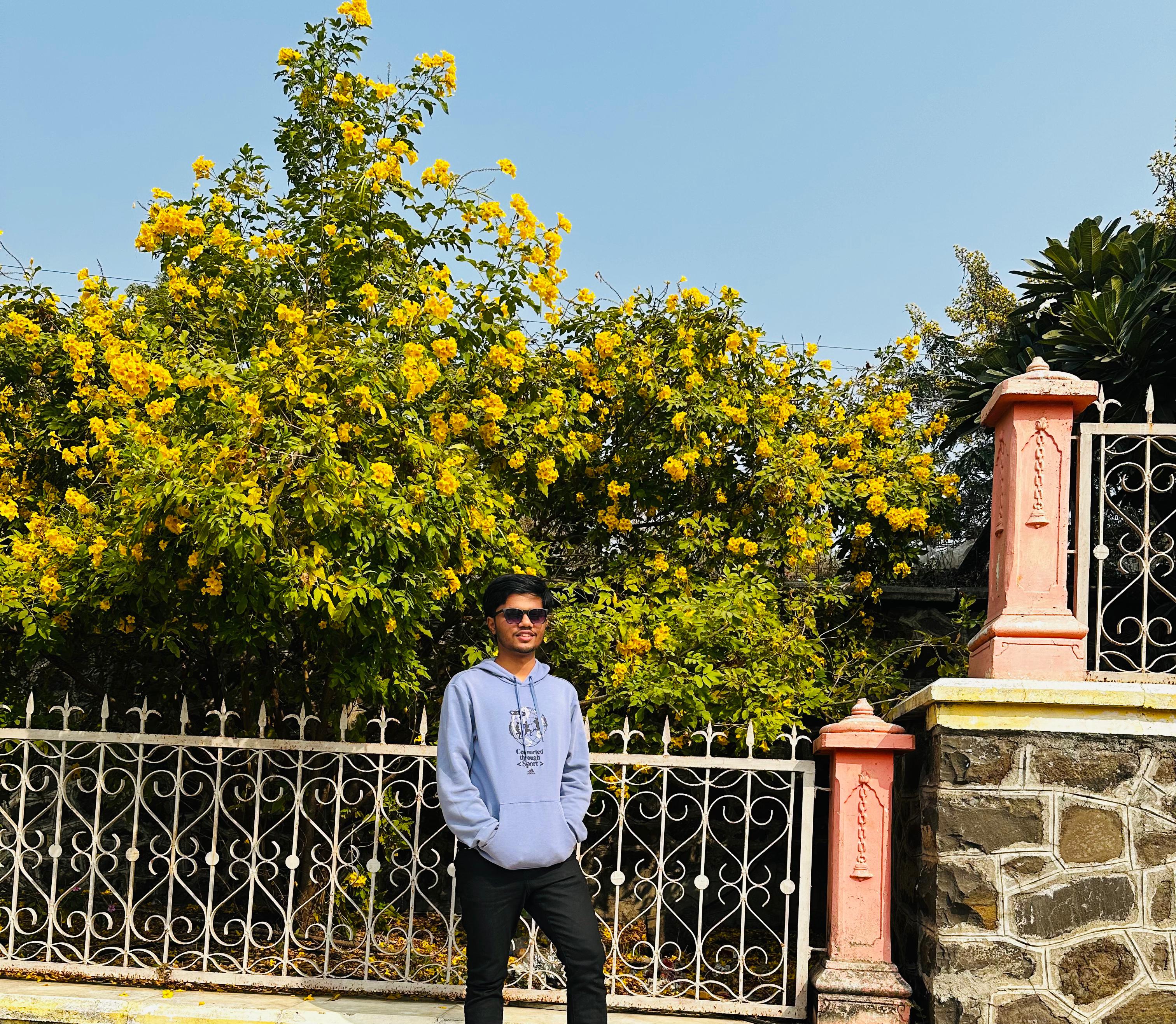 Credenz'25 | Pixelating Realms